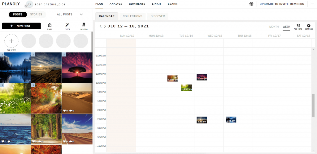 Planoly vs Hootsuite: An Inside Look