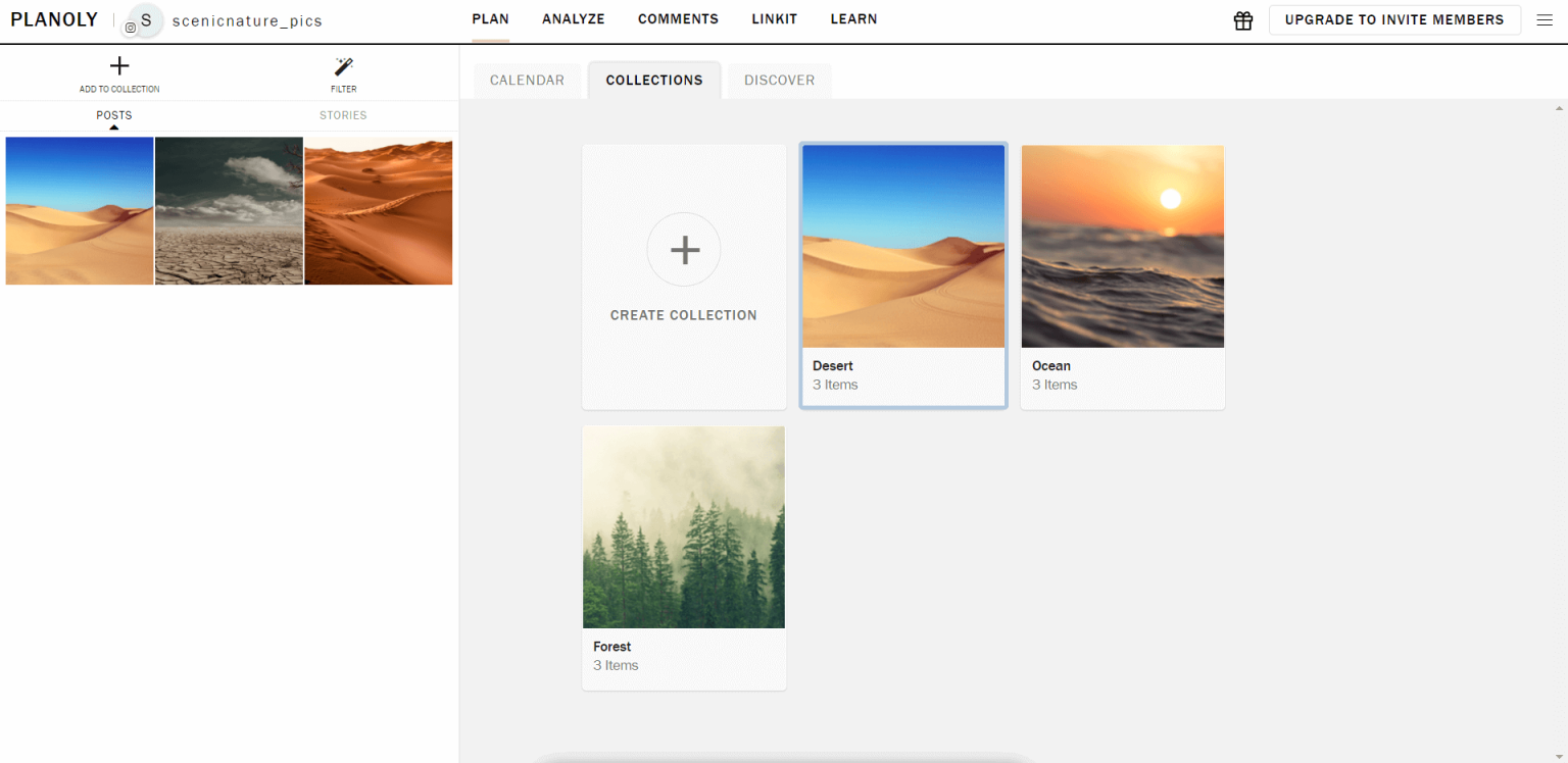 Planoly Review: An Inside Look