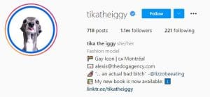 Exploring 23 Linktree Examples From Celebrities and Big Brands