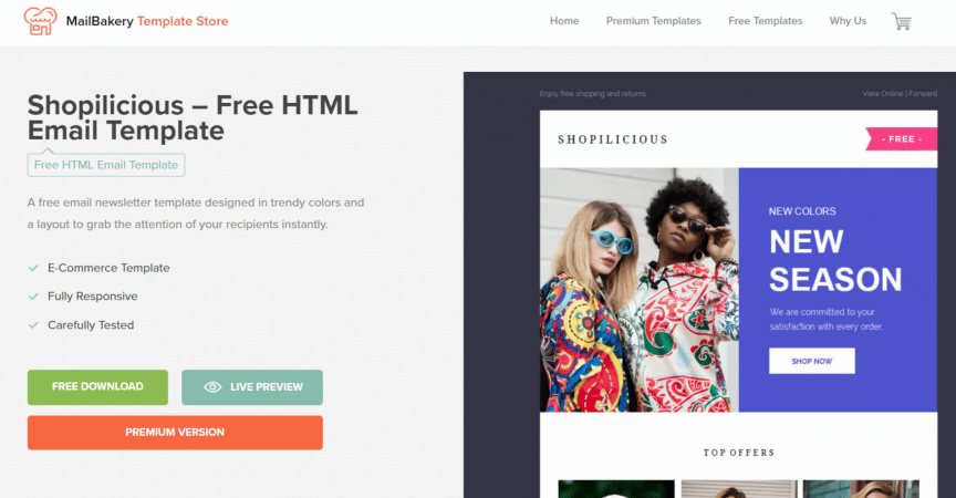 13 Effective Promotional Email Templates (FREE) - ClickyDrip