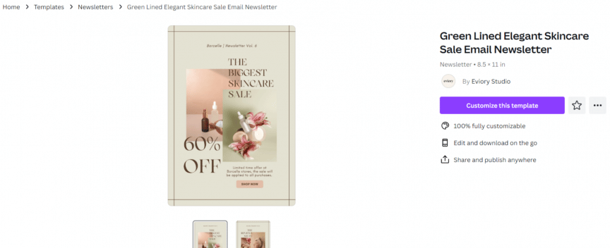 13 Effective Promotional Email Templates (FREE) - ClickyDrip